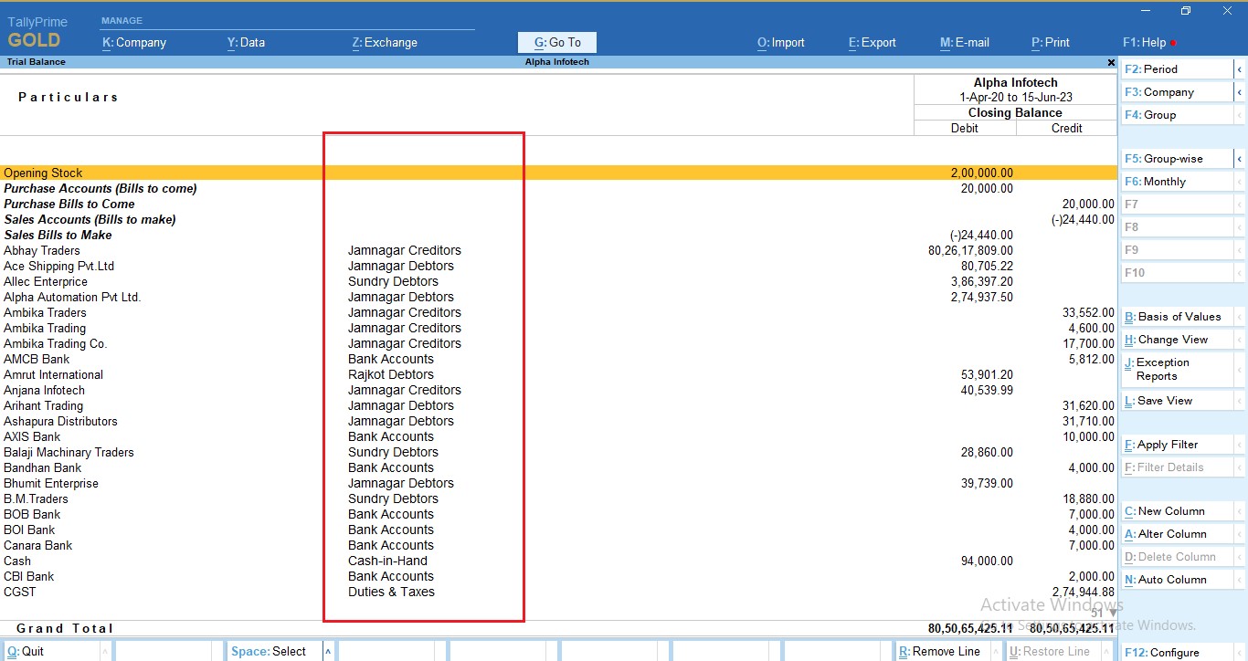 377 | Print Group Name in Ledgerwise Trial Balance Report