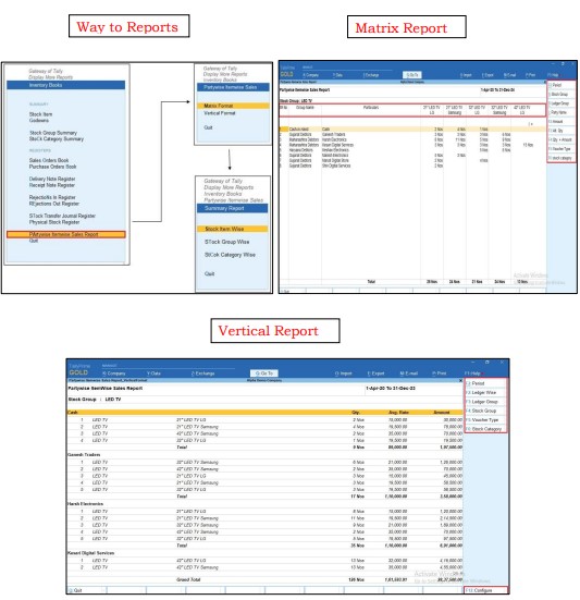 241 | Party wise Item wise, Item Group wise & Item Category wise Sales ...