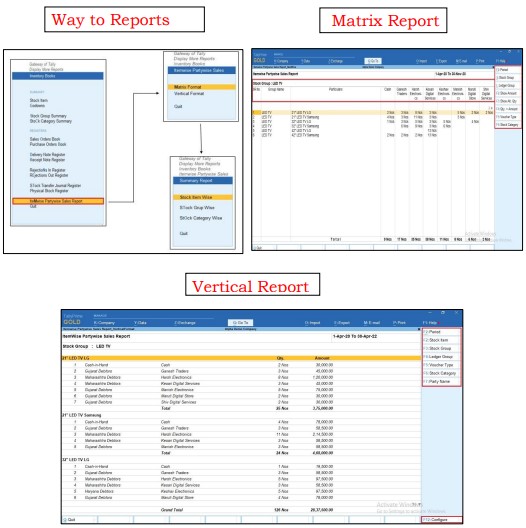 242 | Stock Item, Item Group and Item Category Wise Party Wise Sales ...
